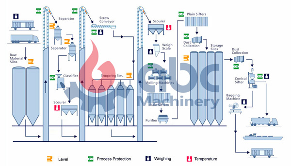 How is Flour Made from Wheat